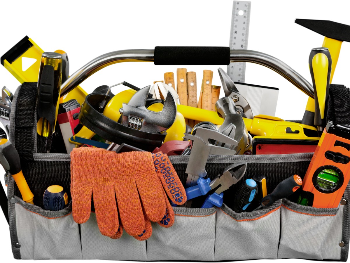 Full Remodeling Timeline - BELA Development